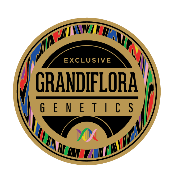GRANDI STRAINS – Grandiflora Clothing