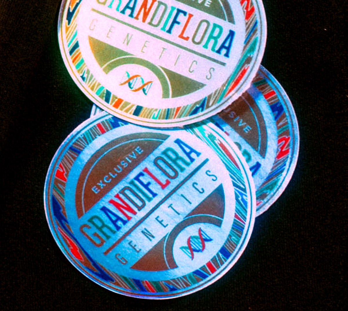 Sticker - Holographic – Grandiflora Clothing